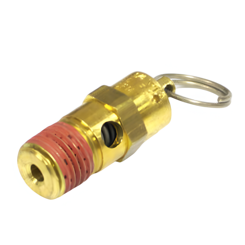 Ridgid 17378 Safety Valve – EIO.com