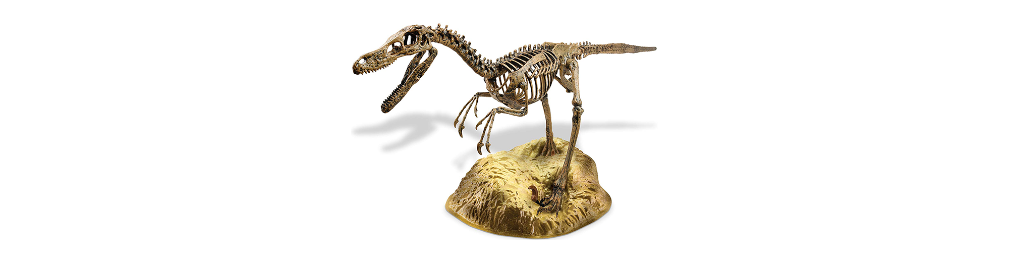 Digging for Dinosaurs – EIO.com