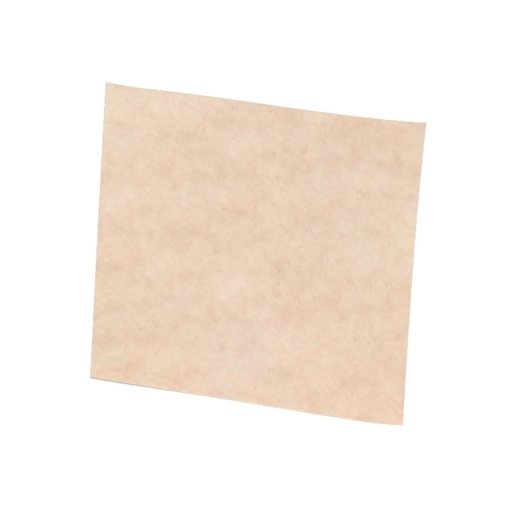 Scotch-Brite Clean and Finish Sheet, Flint Super Fine, 2 in x 2 in ...